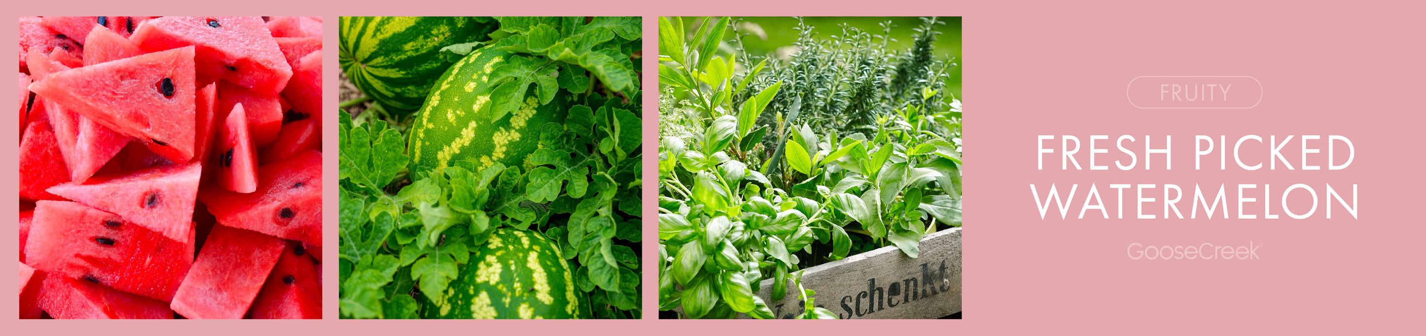 Fresh Picked Watermelon Fragrance – Goose Creek Candle