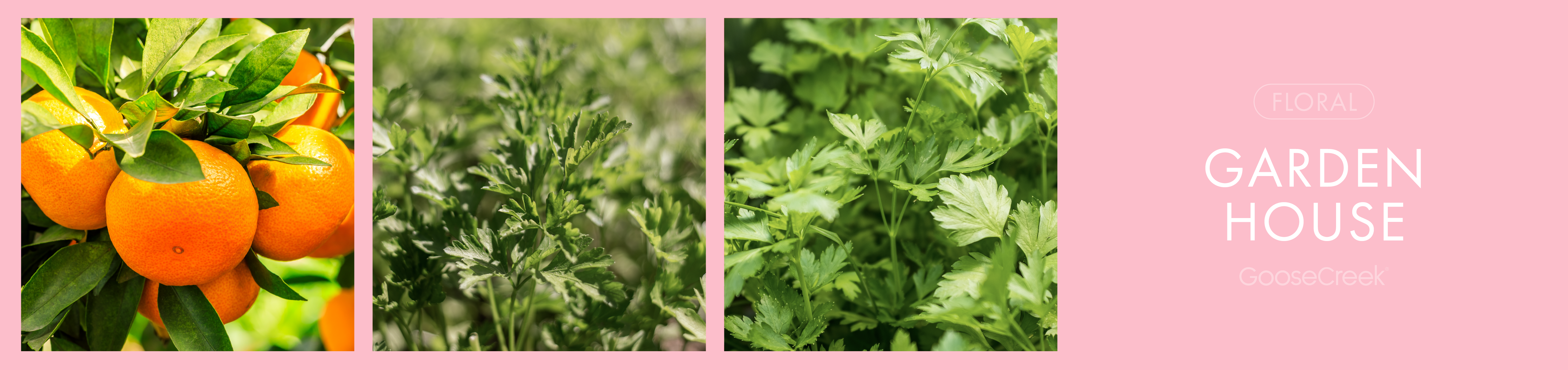 Garden House Fragrance – Goose Creek Candle