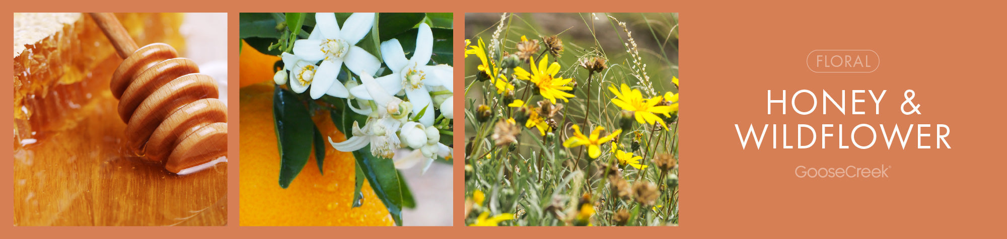 Honey & Wildflower Fragrance – Goose Creek Candle