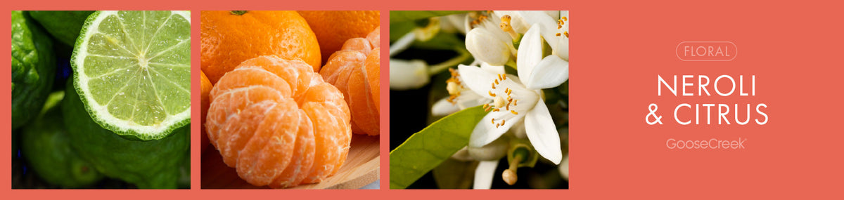 Neroli Citrus Fragrance – Goose Creek Candle