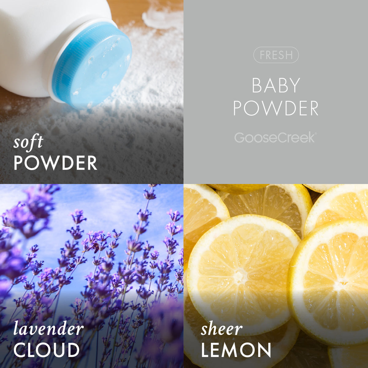 Baby Powder Wax Melt | Strong Soy Wax Melts | Goose Creek – Goose Creek ...