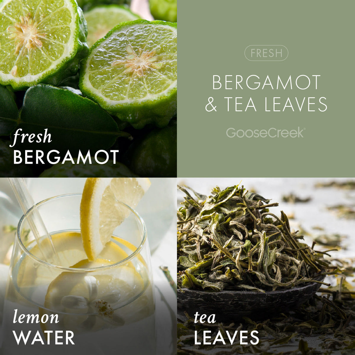 Bergamot & Tea Aromatherapy Candle – Goose Creek Candle