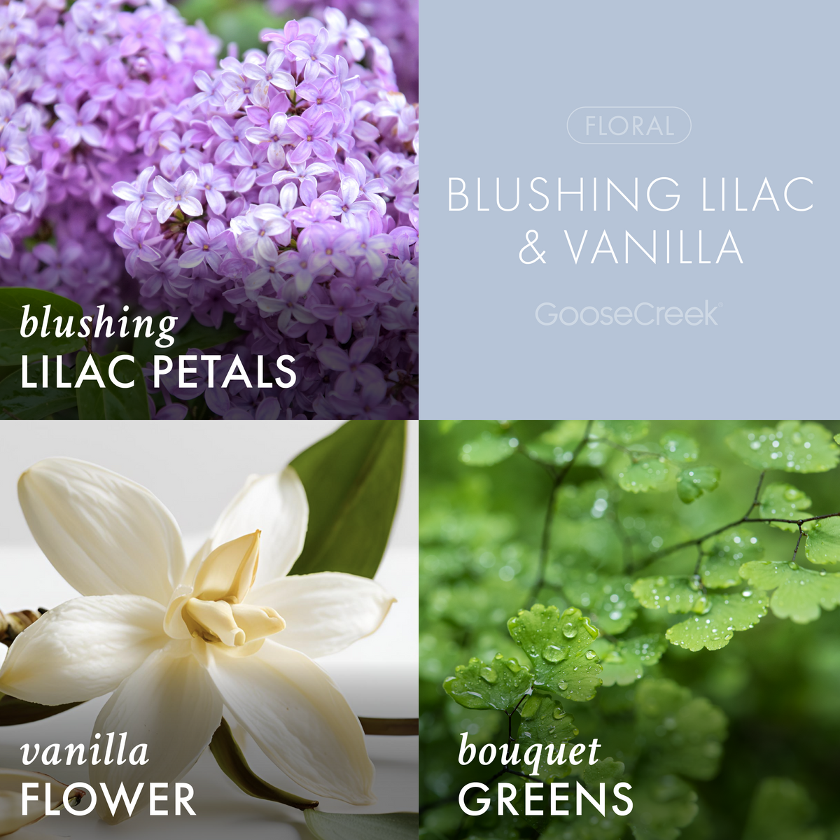 Blushing Lilac & Vanilla Large 3-Wick Candle - Luxurious Home Fragrance ...