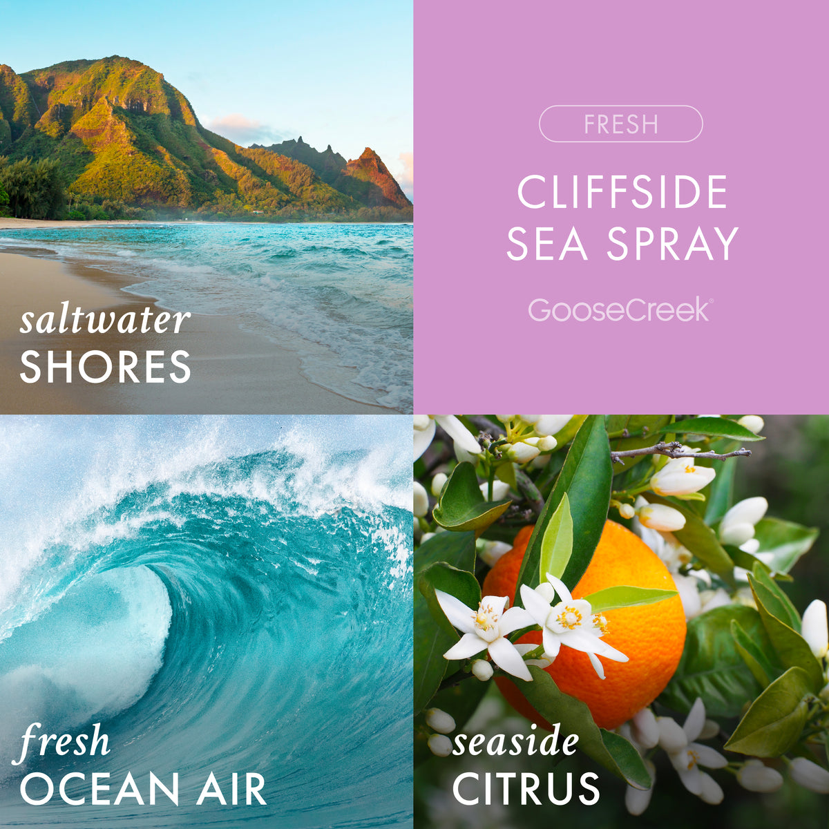 Cliffside Sea Spray 3-Wick Candle - Coastal Fragrance for a Scenic ...