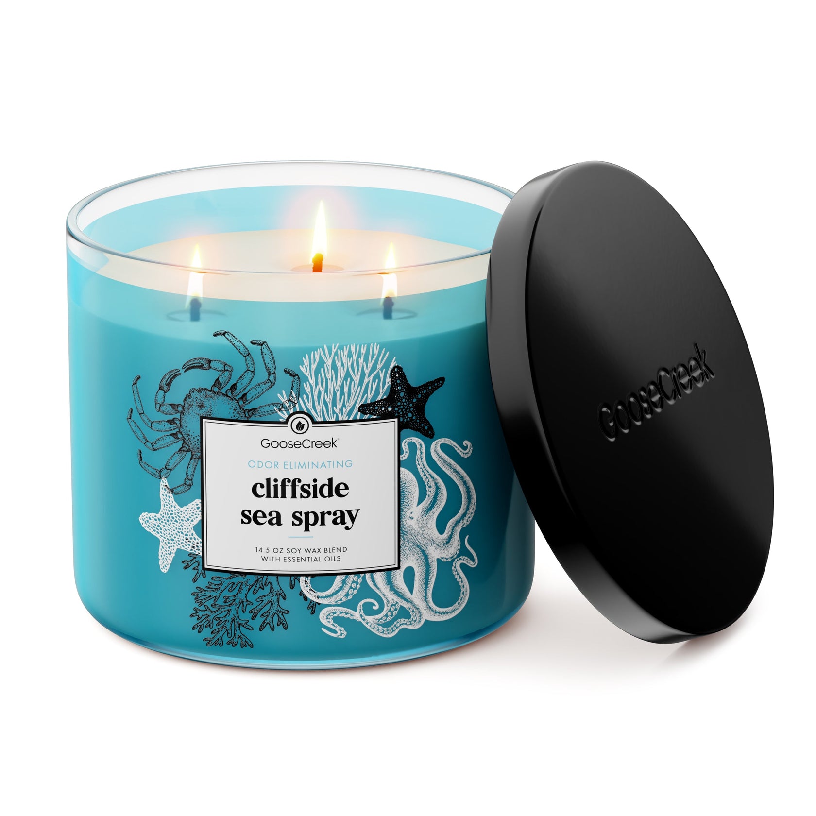Cliffside Sea Spray Odor Eliminating Candle – Goose Creek Candle