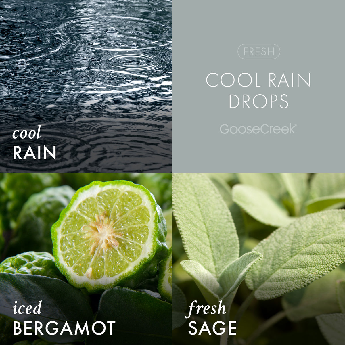 Cool Rain Drops Lush Foaming Hand Soap - 10 fl. oz. – Goose Creek Candle