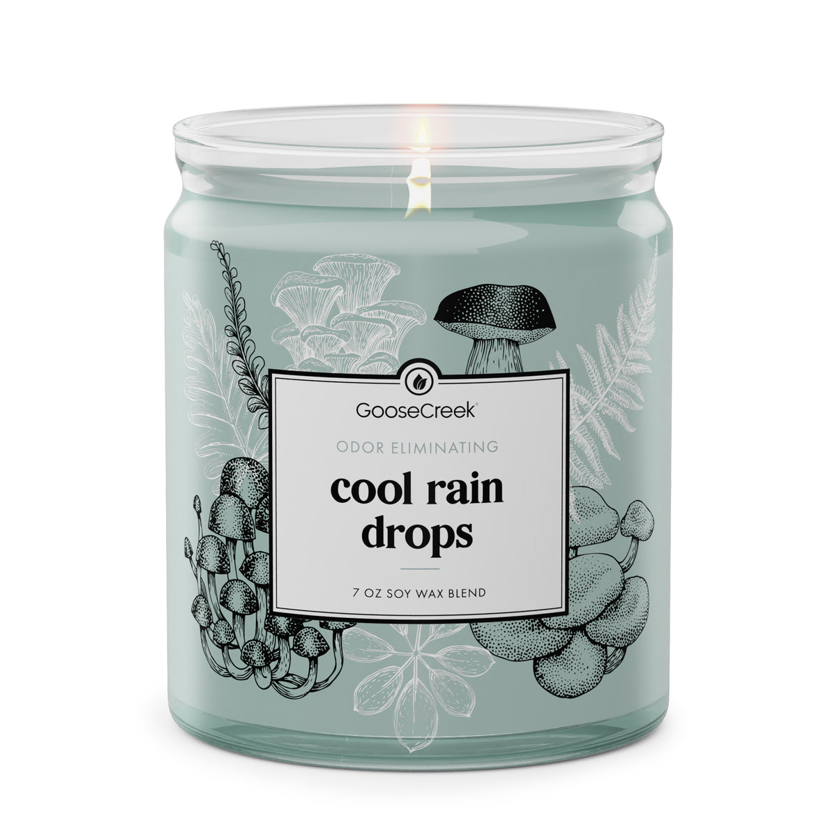Cool Rain Drops 7oz Single Wick Candle | 45-Hour Burn Time | Perfect ...