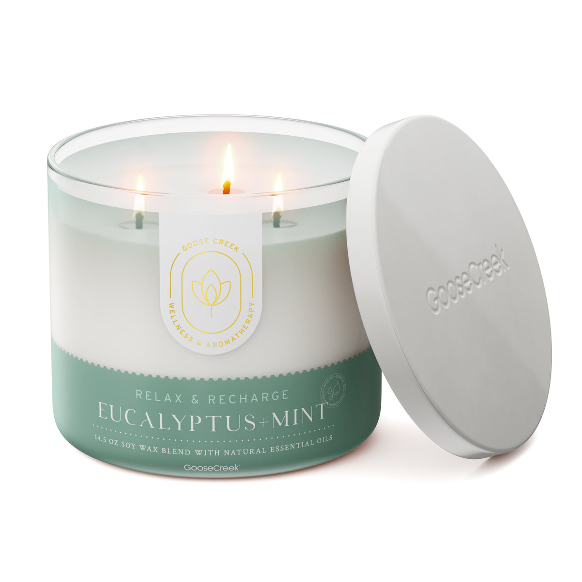 Relax and Refresh with Eucalyptus Mint Aromatherapy Candle – Goose ...
