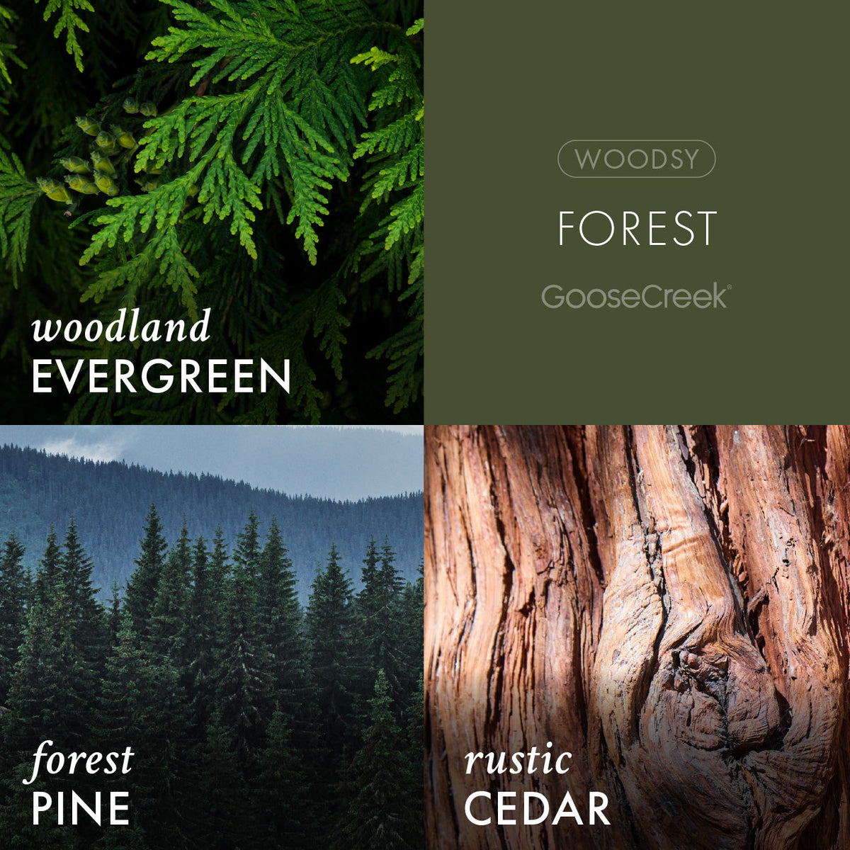 Forest Wax Melt - Captivating Fragrance Inspired by Nature – Goose ...