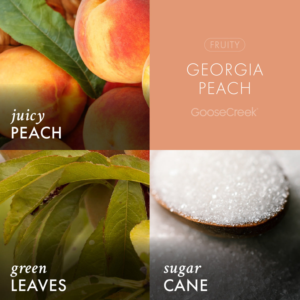 Georgia Peach Plug-In & Refill Bundle – Goose Creek Candle