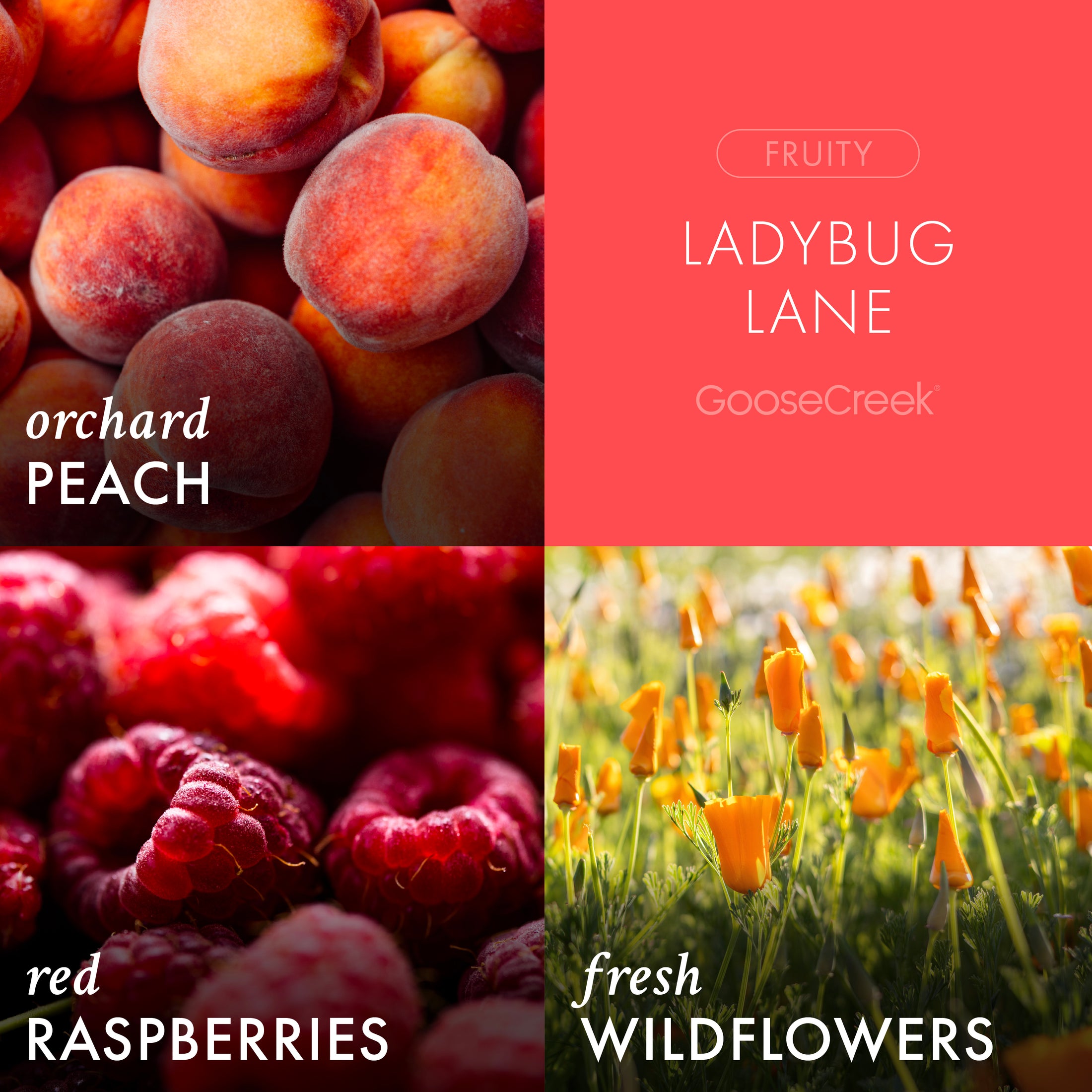 Ladybug Lane 3-Wick Candle – Goose Creek Candle
