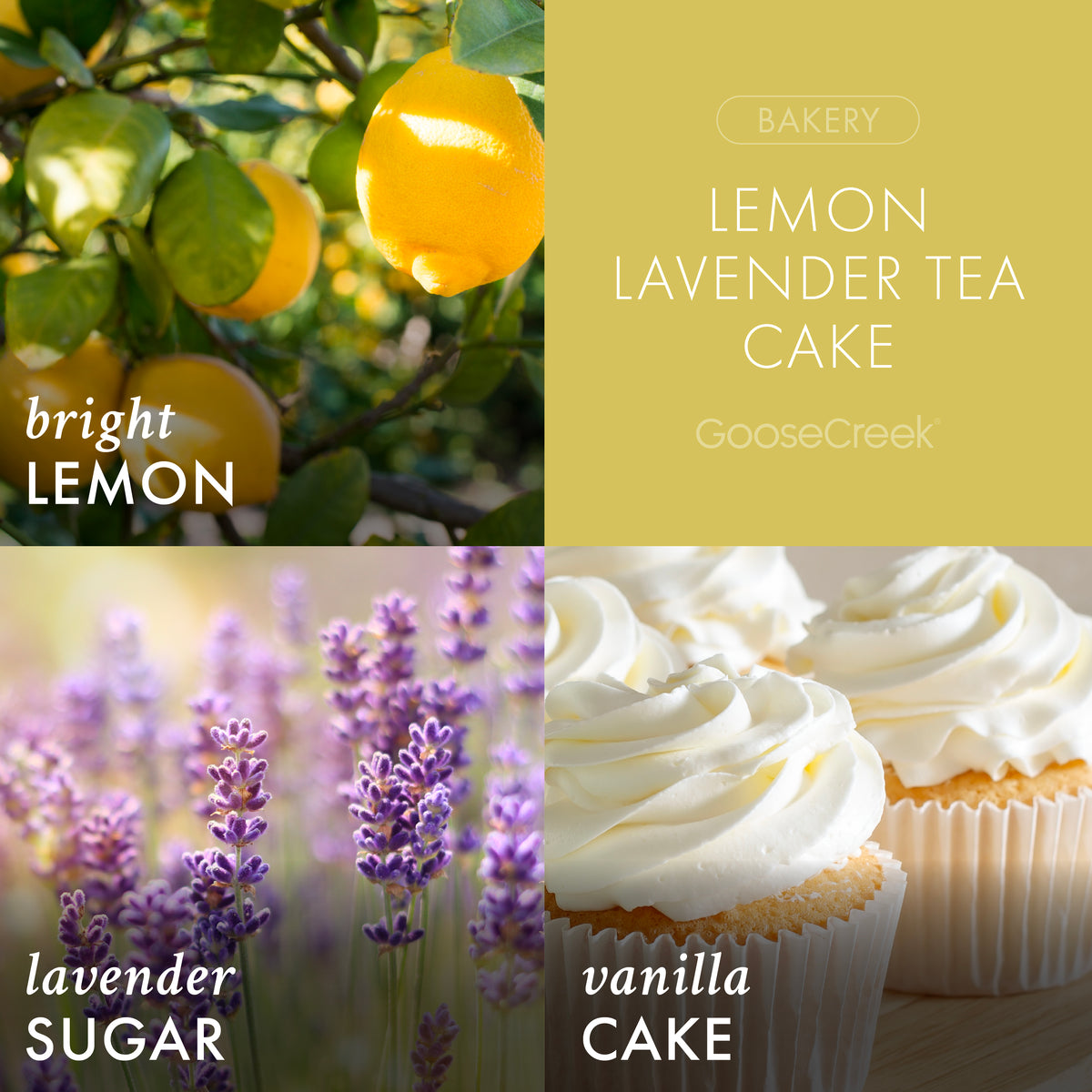 Lemon Lavender Tea Cake 3-Wick Candle – Goose Creek Candle
