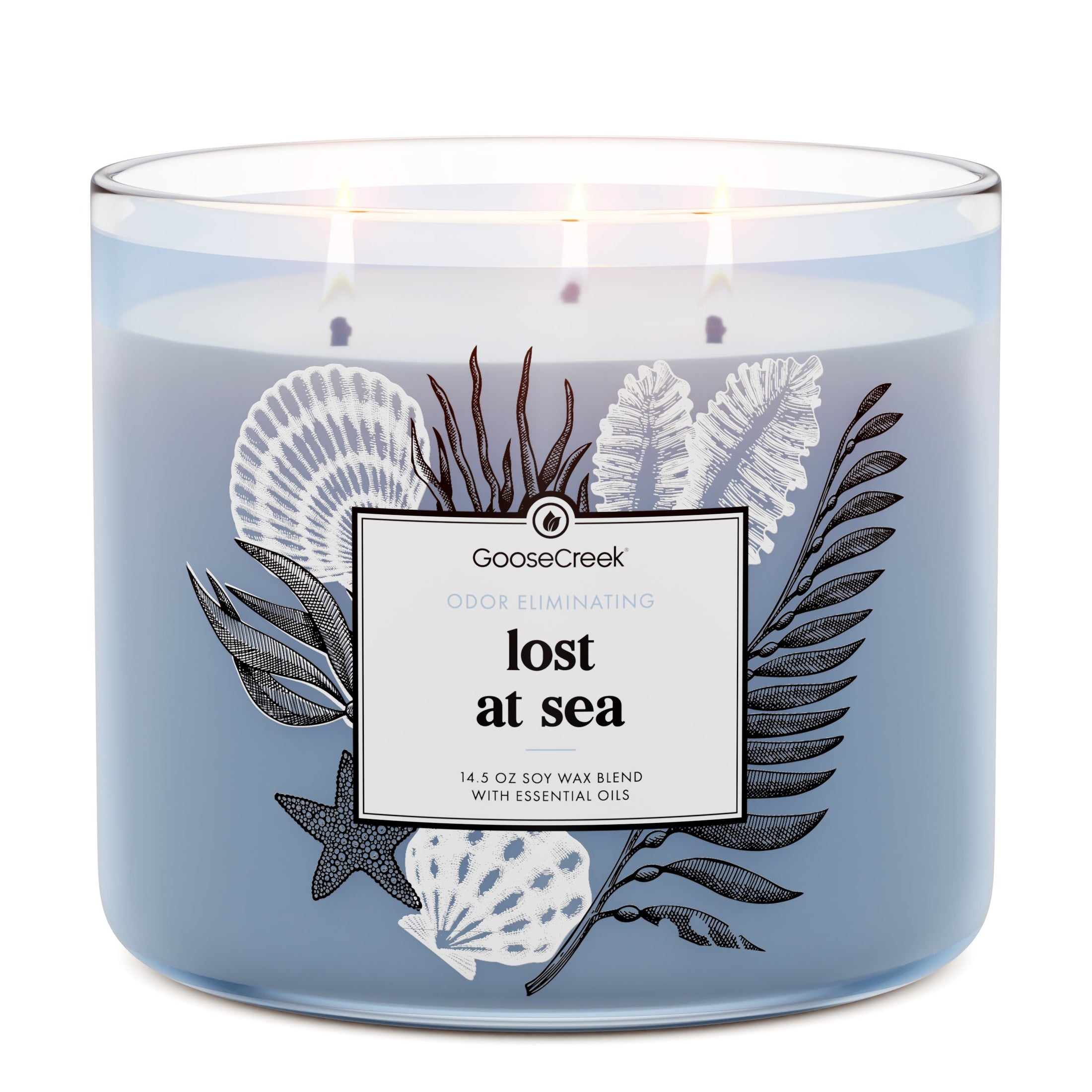 Odor Eliminating 3-Wick Candle - Keep Your Home Smelling Amazing ...