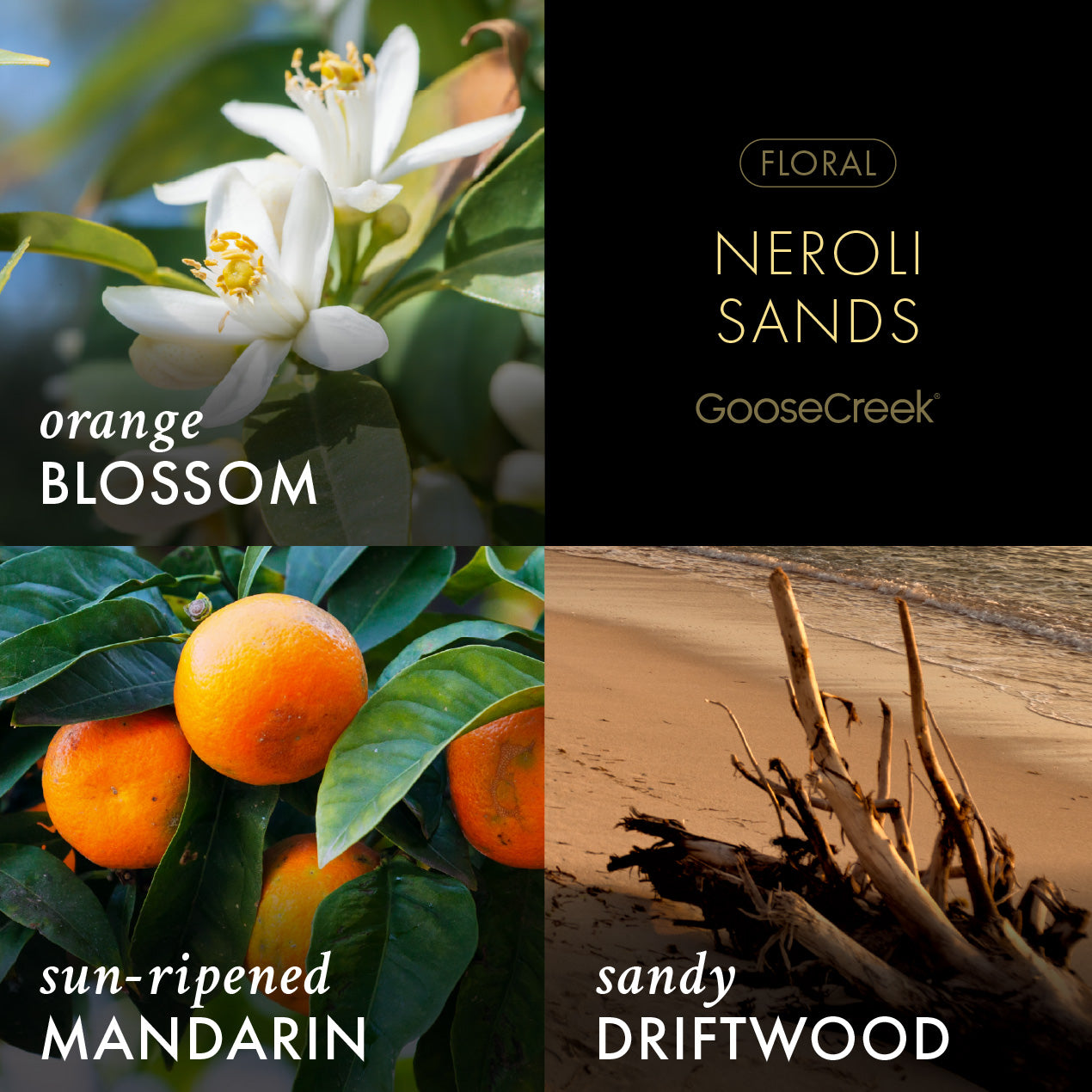 Neroli Sands- Fine Fragrance Body Mist – Goose Creek Candle