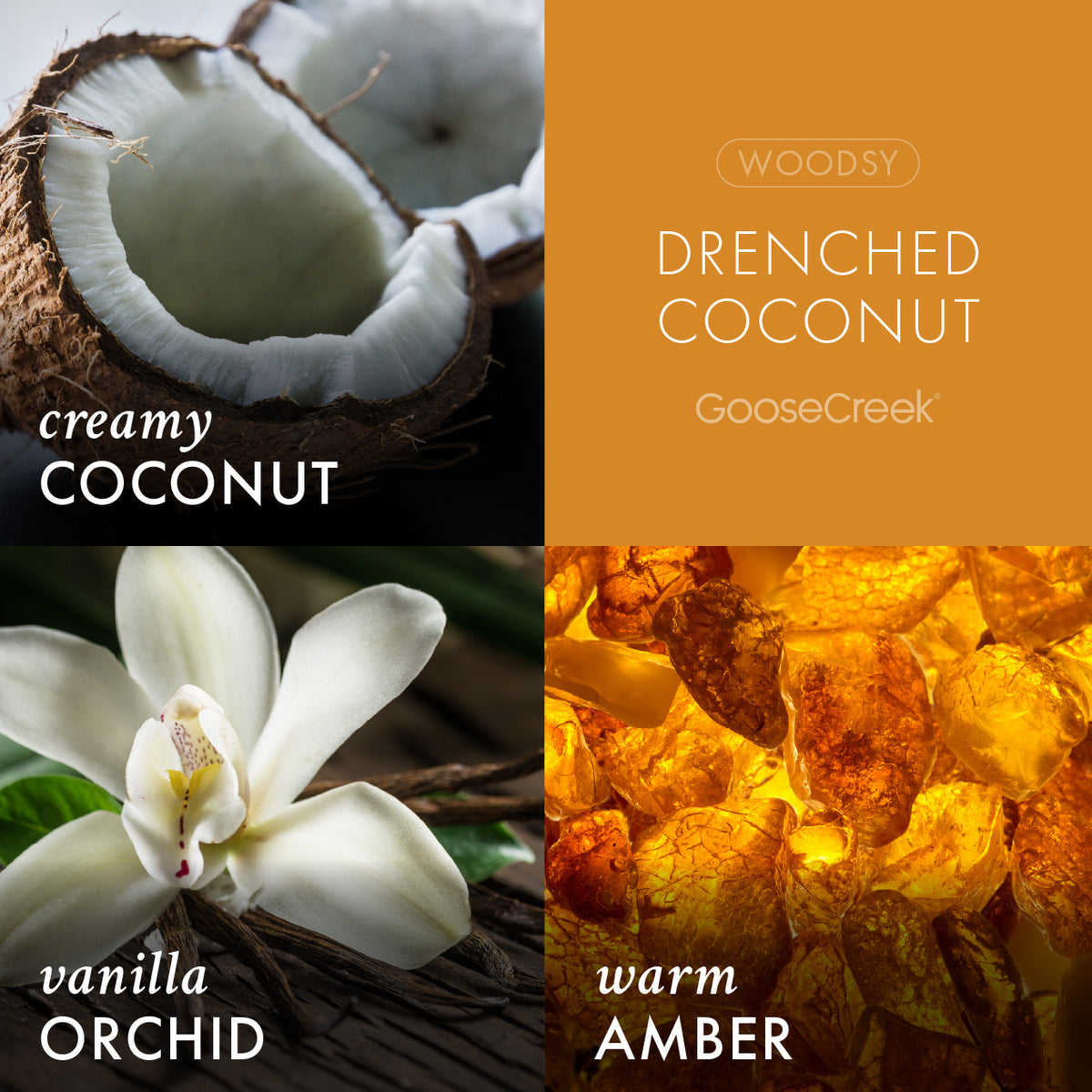 Odor Eliminating Drenched Coconut Plug-In & Refill Bundle – Goose Creek ...