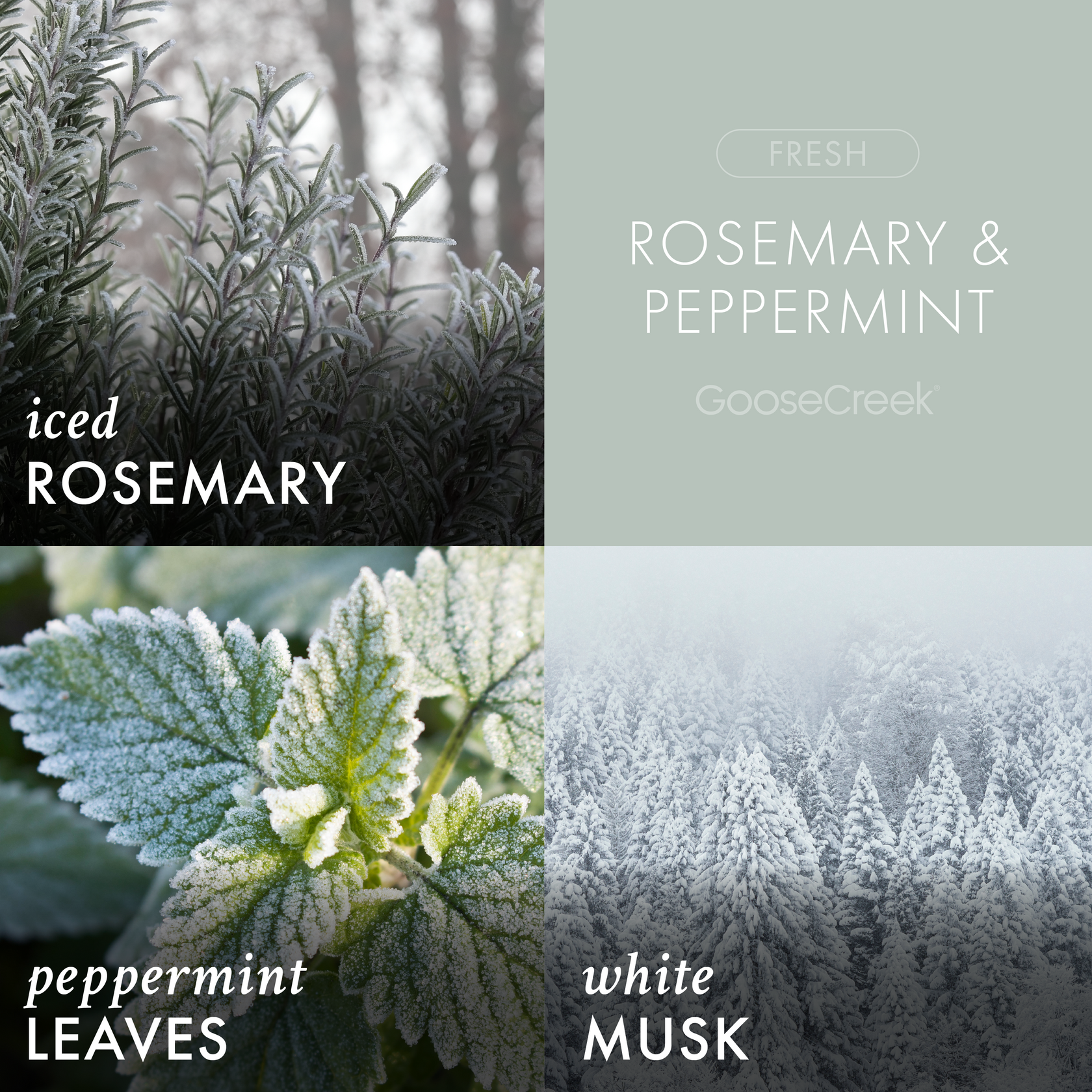 Rosemary & Peppermint Aromatherapy Candle - Woodsy Fragrance for ...