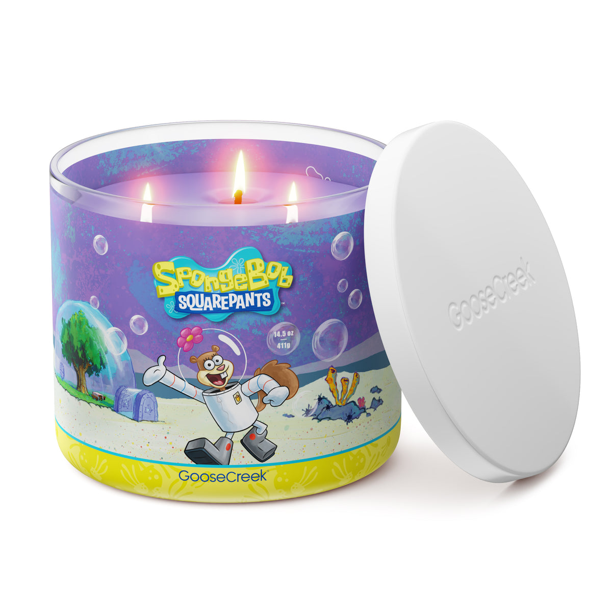 Sandy Cheeks 3-Wick Candle – Goose Creek Candle