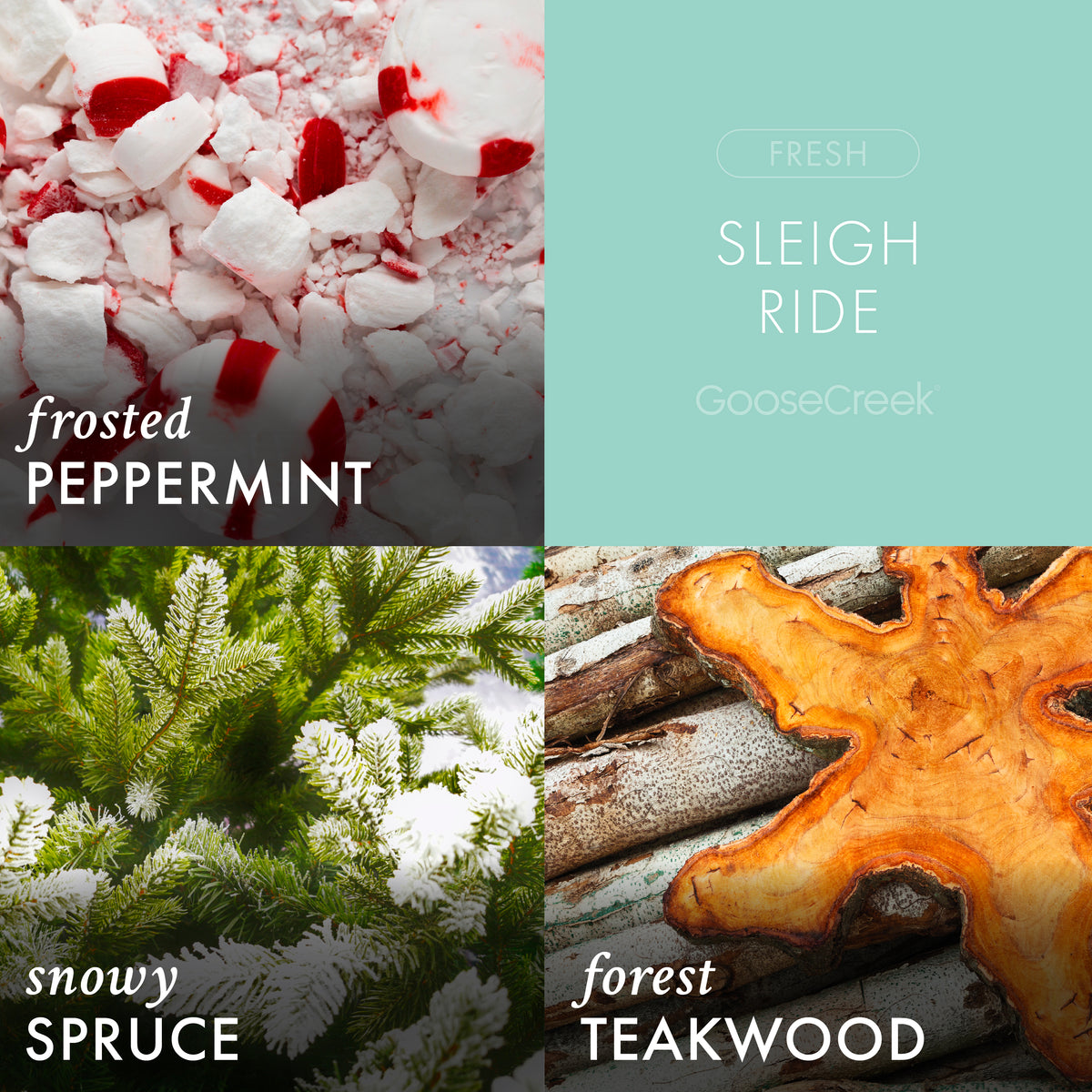 Christmas Sleigh Ride 3-Wick Candle: Magical Scents for Festive ...