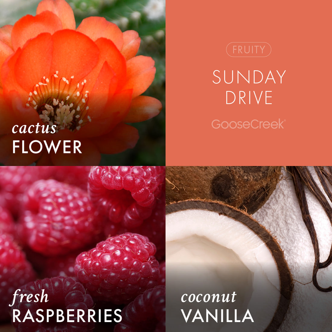 Sunday Drive Large 3-Wick Candle - Tranquil Floral Fragrance for ...