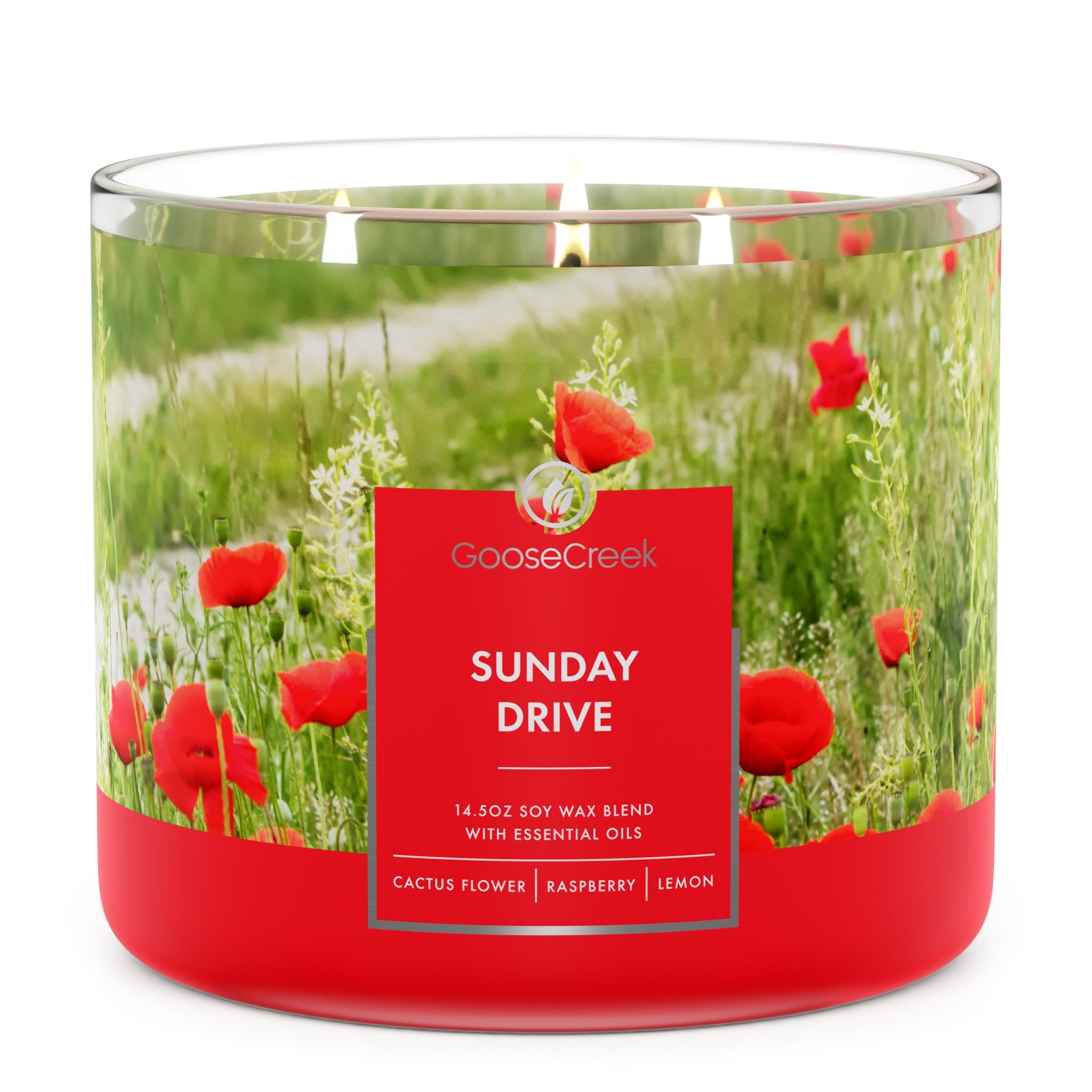 Sunday Drive Large 3-Wick Candle - Tranquil Floral Fragrance for ...