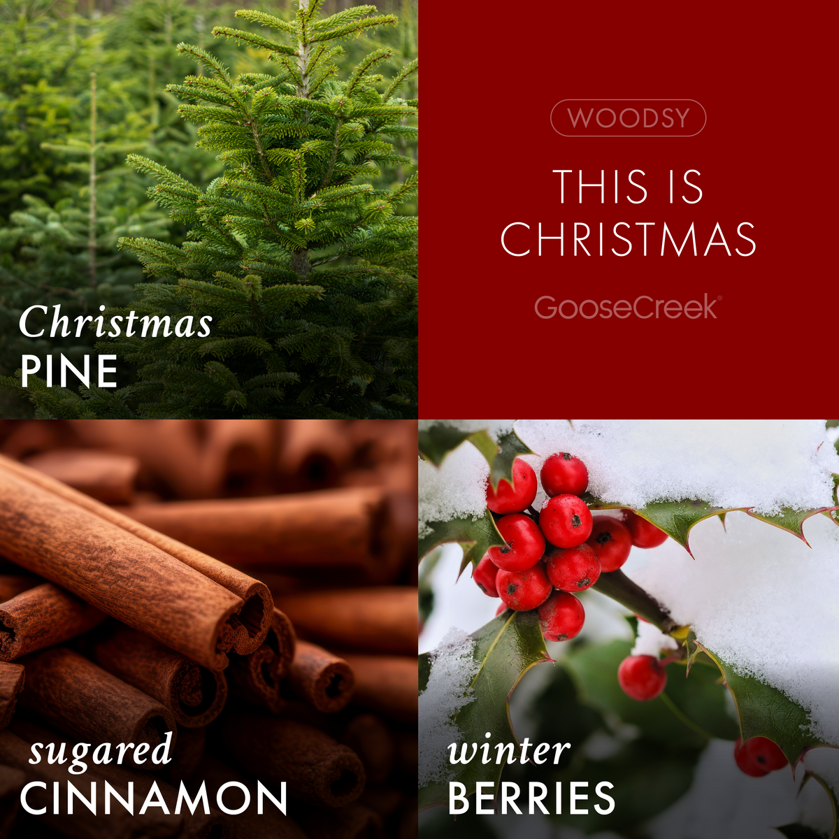 This Is Christmas Room Freshening Spray – Goose Creek Candle