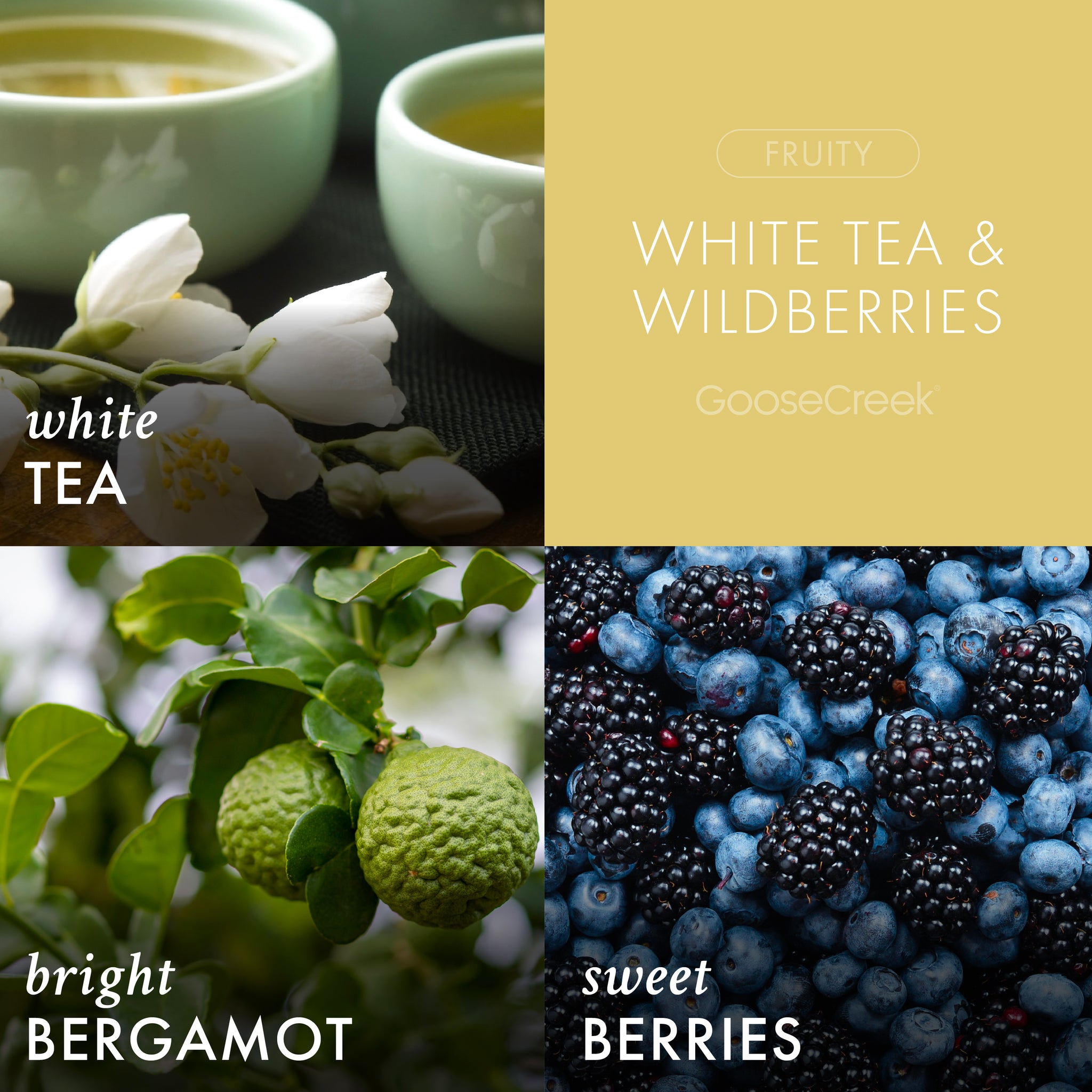 White Tea & Wildberries 3-Wick Candle – Goose Creek Candle