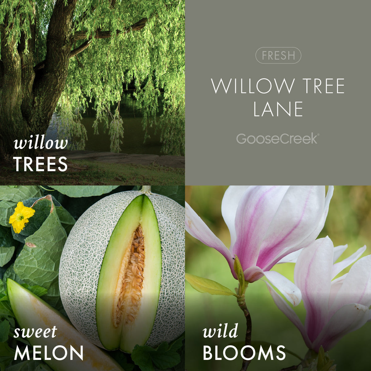 Create a Serene Oasis: Willow Tree Lane Wax Melt – Goose Creek Candle